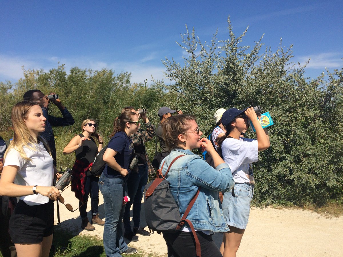 TakingITGlobal (@takingitglobal) | Twitter