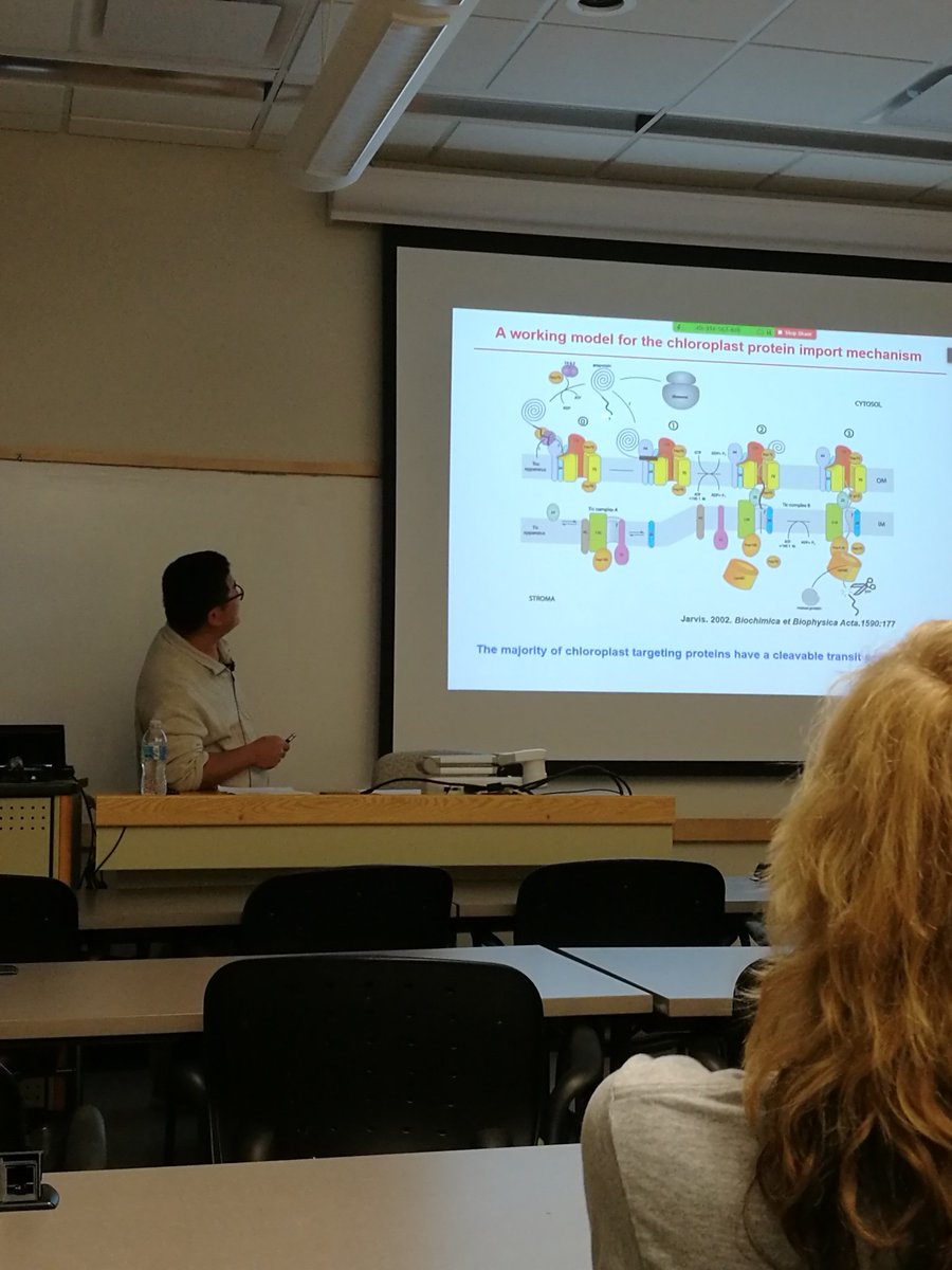 Fan Yang (@yangfan255) | Twitter