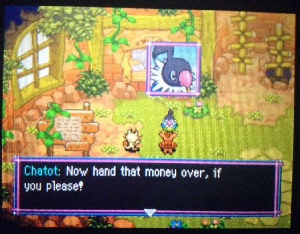 Pokemon Mystery Dungeon Memes