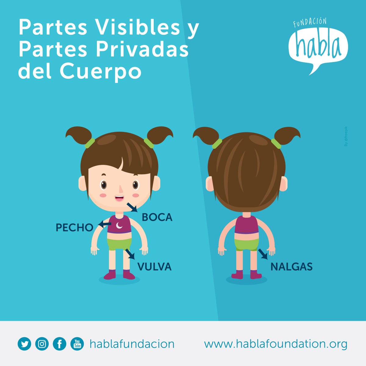 Partes Privadas Anatomia Femenina