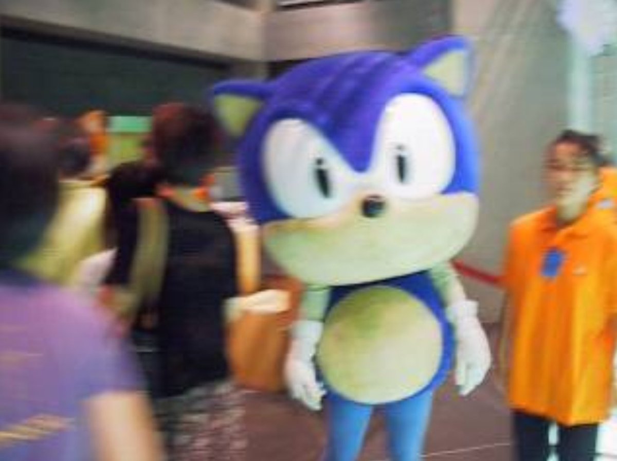 Sonic The Hedgehog Mascot Costume