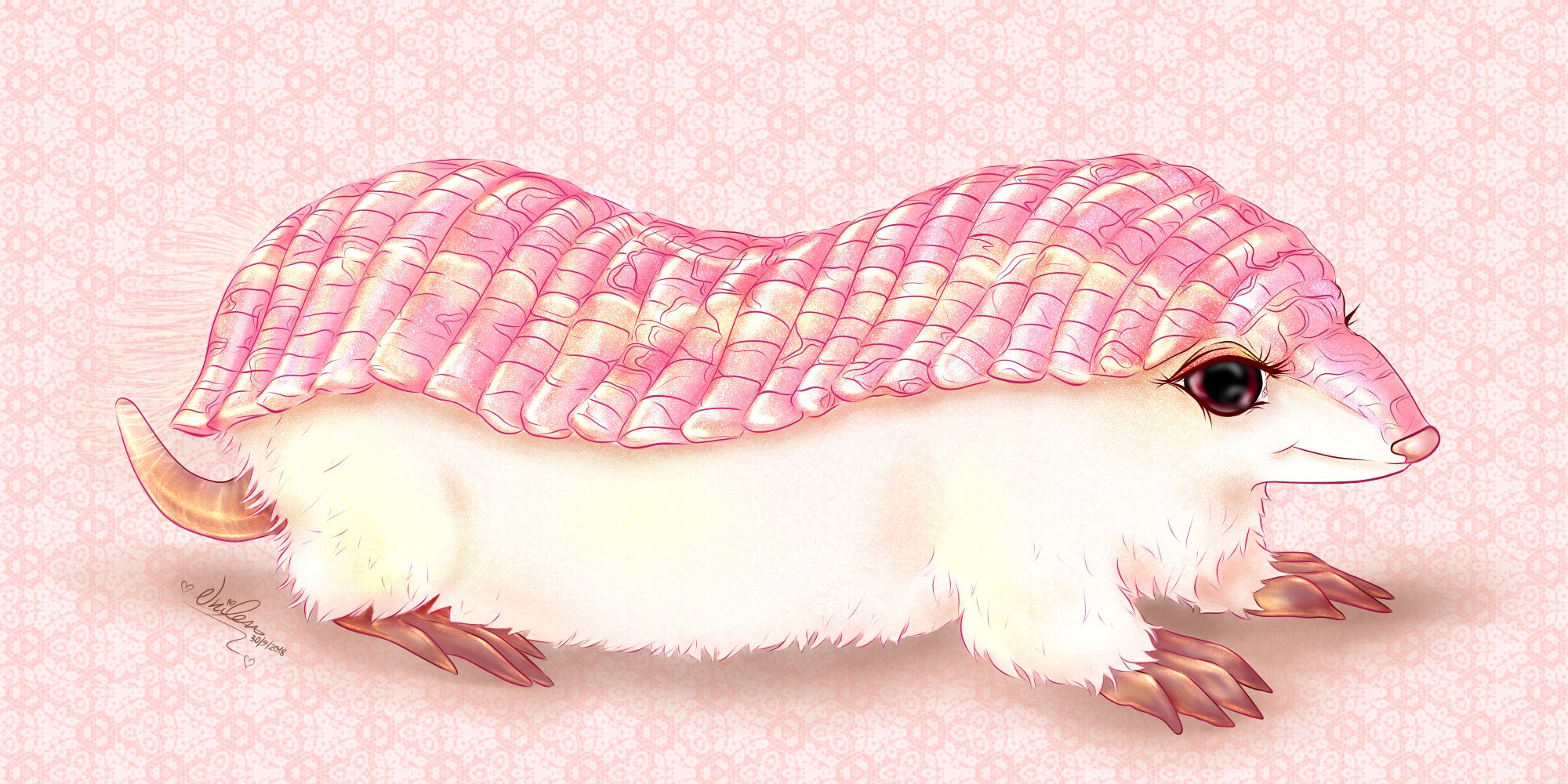 Cute Armadillo Drawing