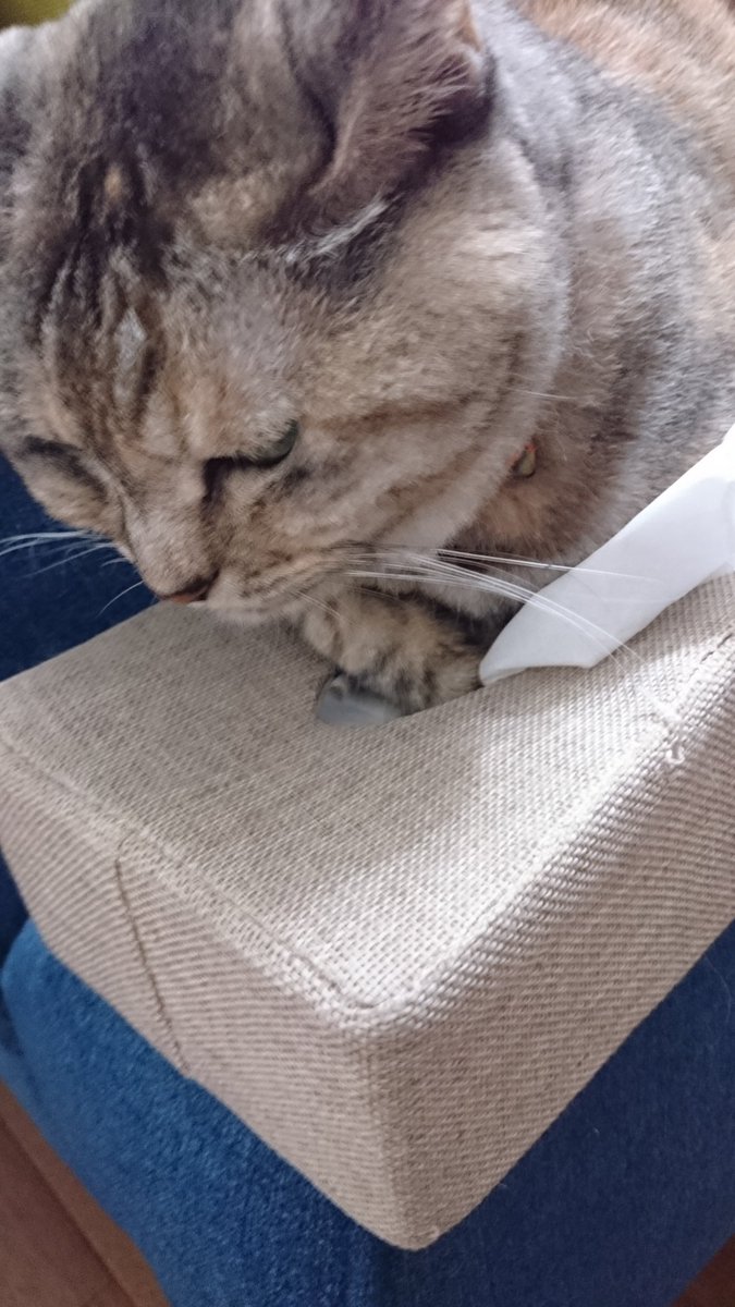 食う寝るところに住むところ (@815_mido) | Twitter