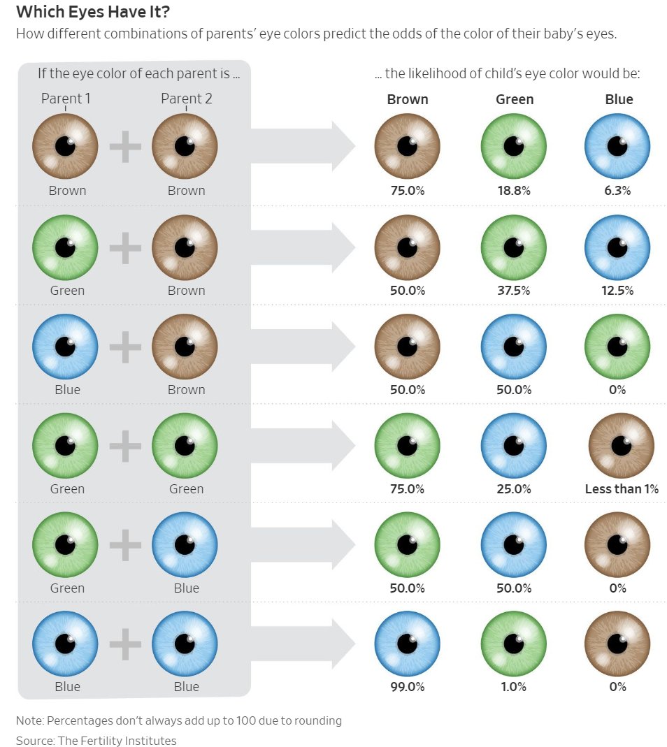 Punnett Square Eye Color Green