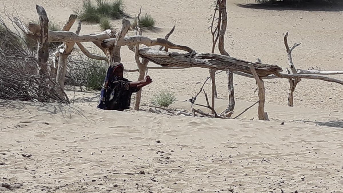 G Mustafa Samejo (@gmustafa1327) | Twitter