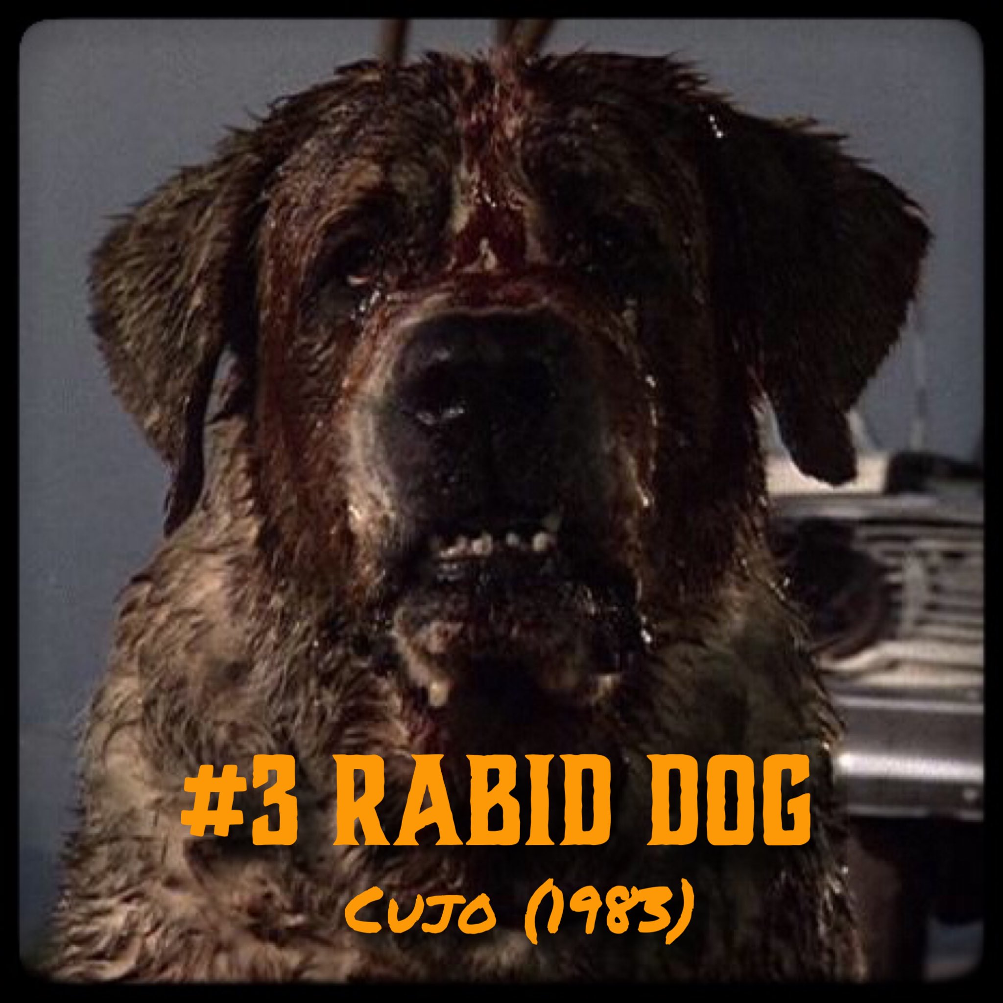 Rabid Dog Cujo