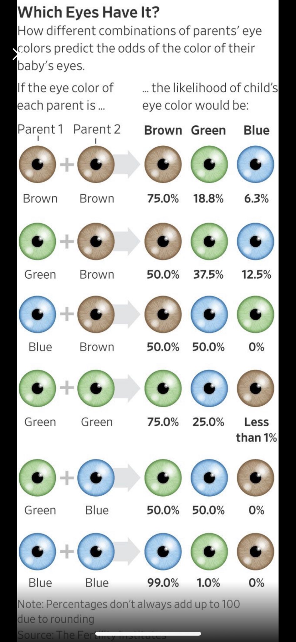 Punnett Square Eye Color