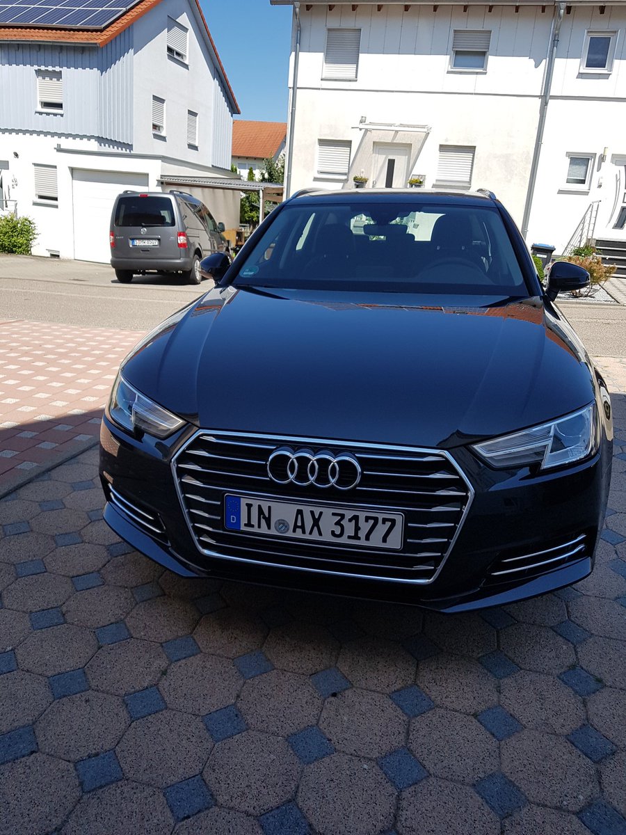 Saban Bal (@SabanBal1) | Twitter