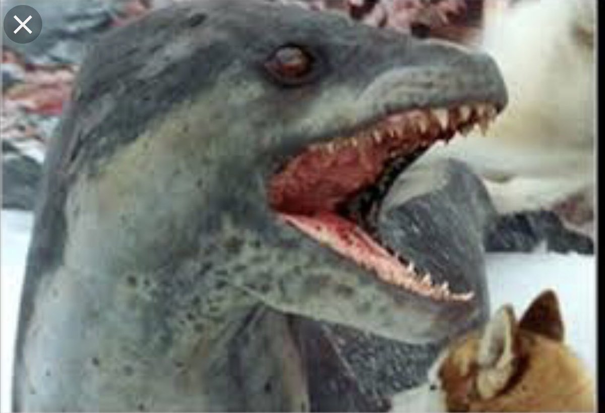 Scary Leopard Seal