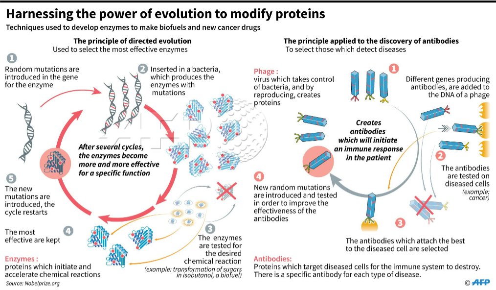 Presentation of the concept of "directed evolution" and its ...