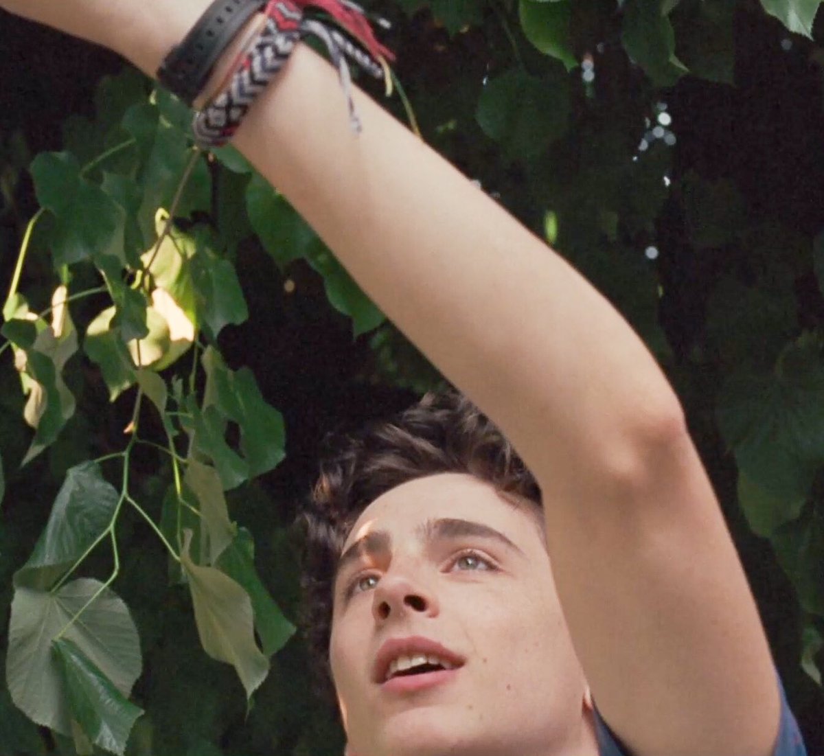 Elio perlman bracelet store