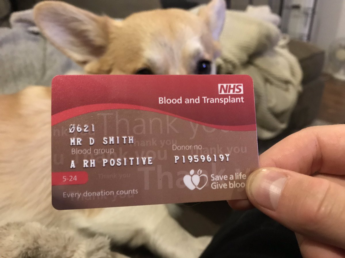 Dylan Smith (@dylanatsmith) | Twitter