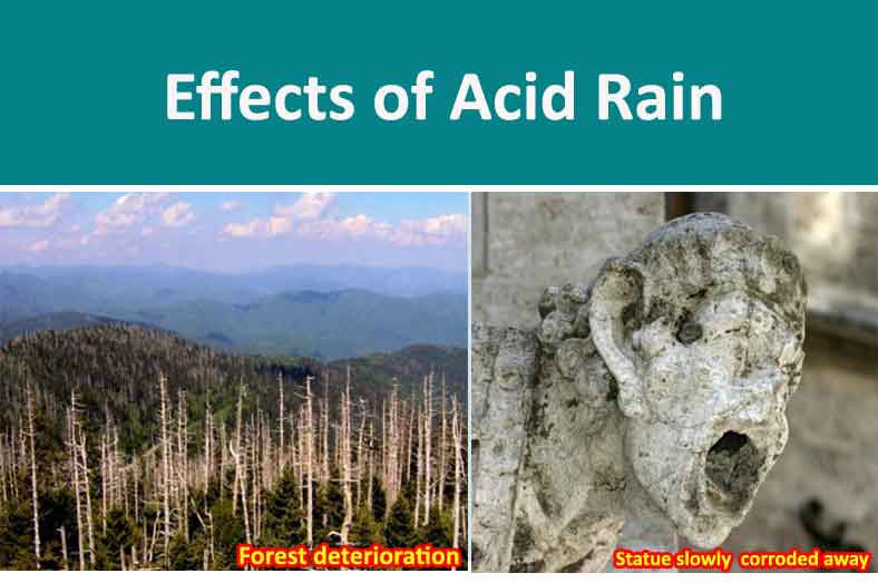 Acid Rain Effects On Rocks