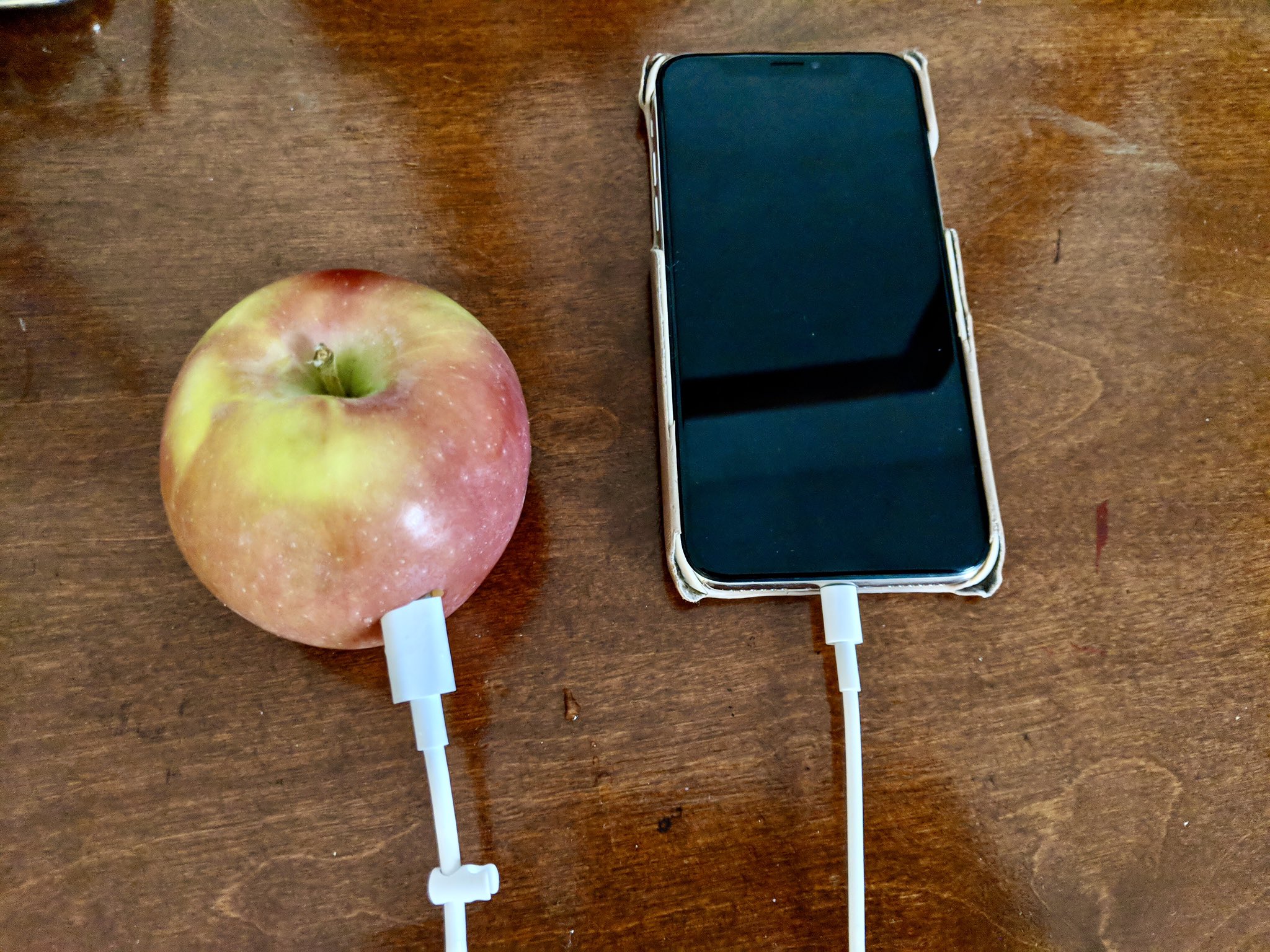 Fruit Iphone Charger