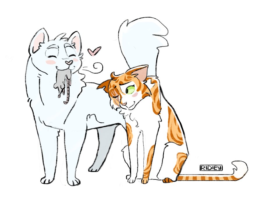 Brightheart And Cloudtail Warriors