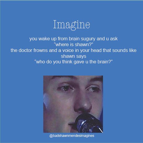 Shawn Mendes Imagines