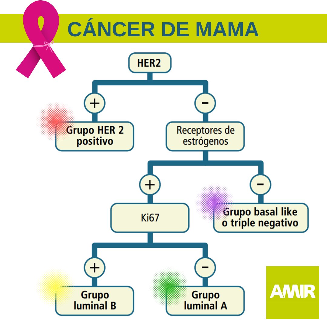 máscara Obligar frutas esquema sobre el cancer Costoso Santo Hacia fuera