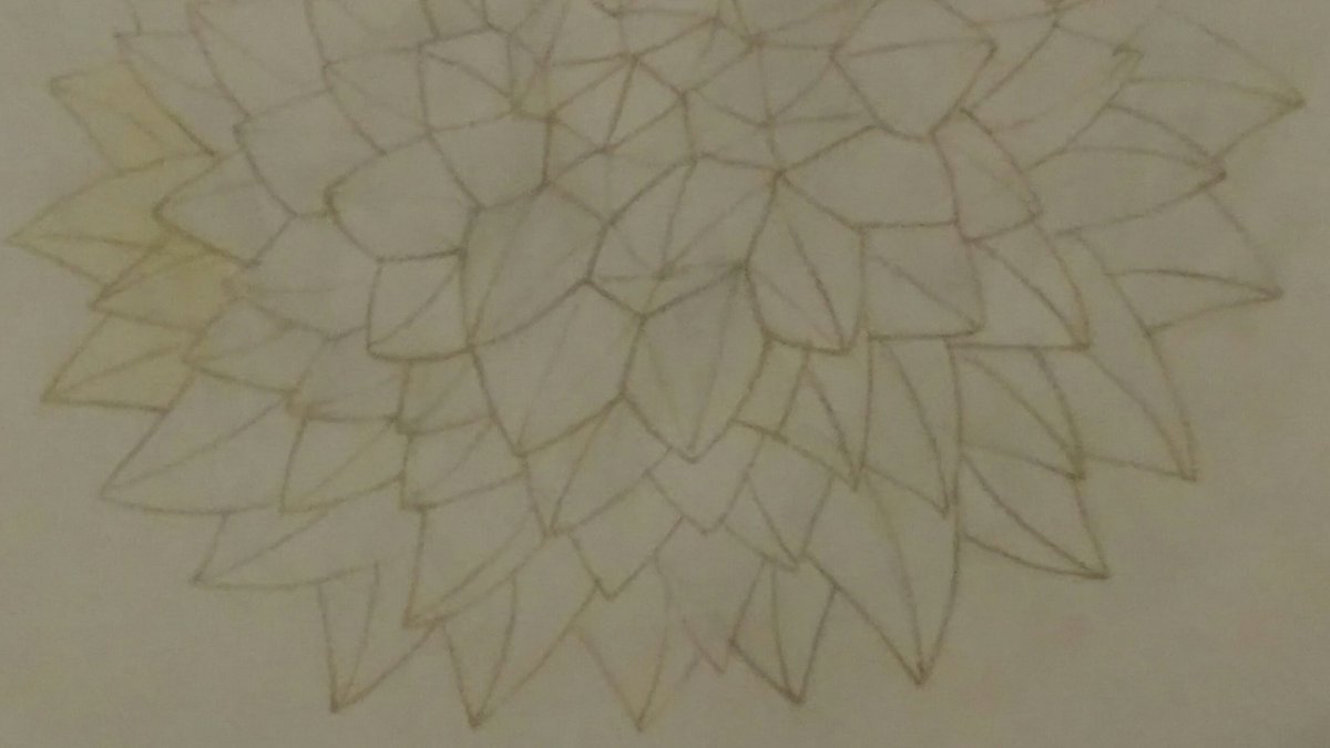 サム*サクラ (@Miiverse_sam) | Twitter