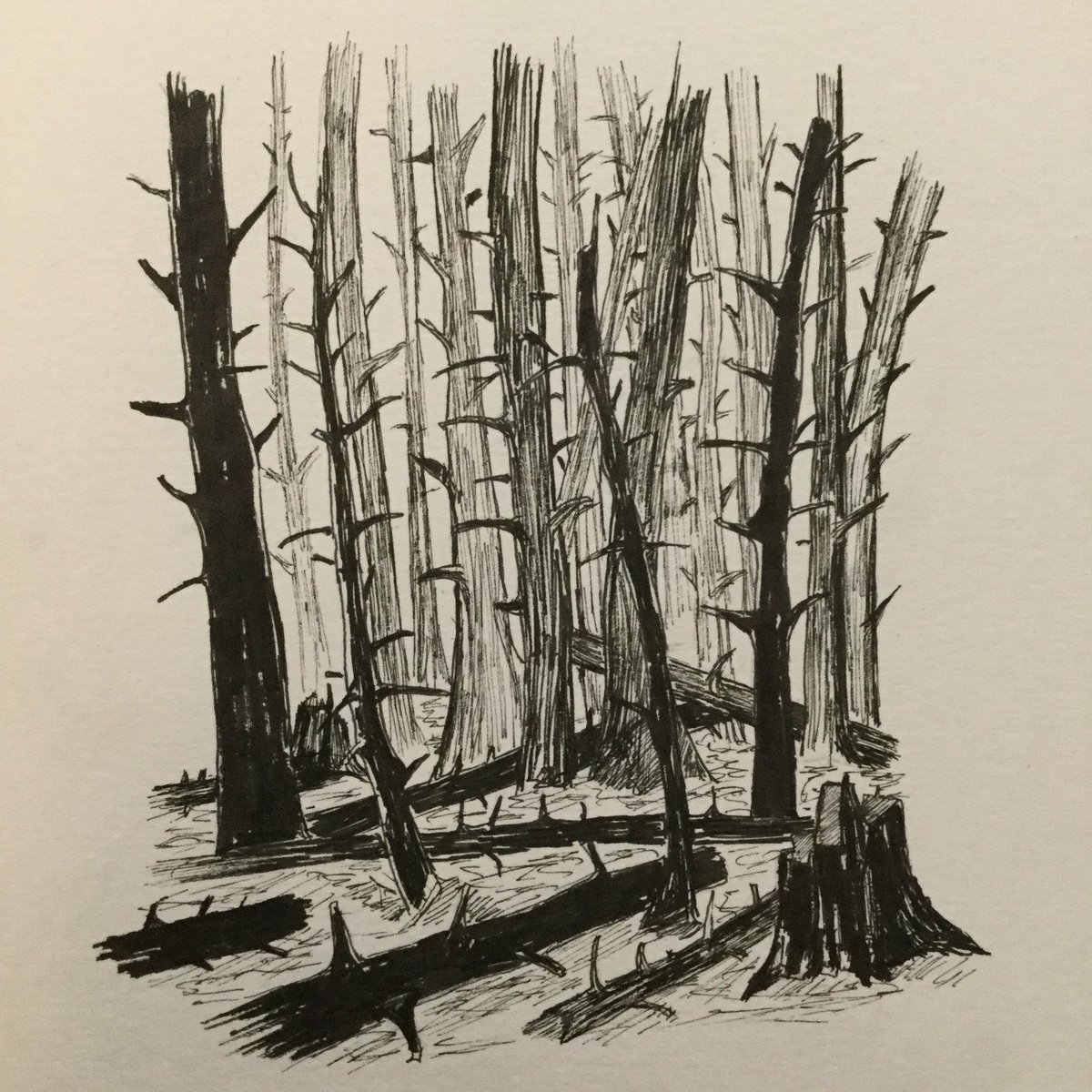 Burnt Forest Drawing