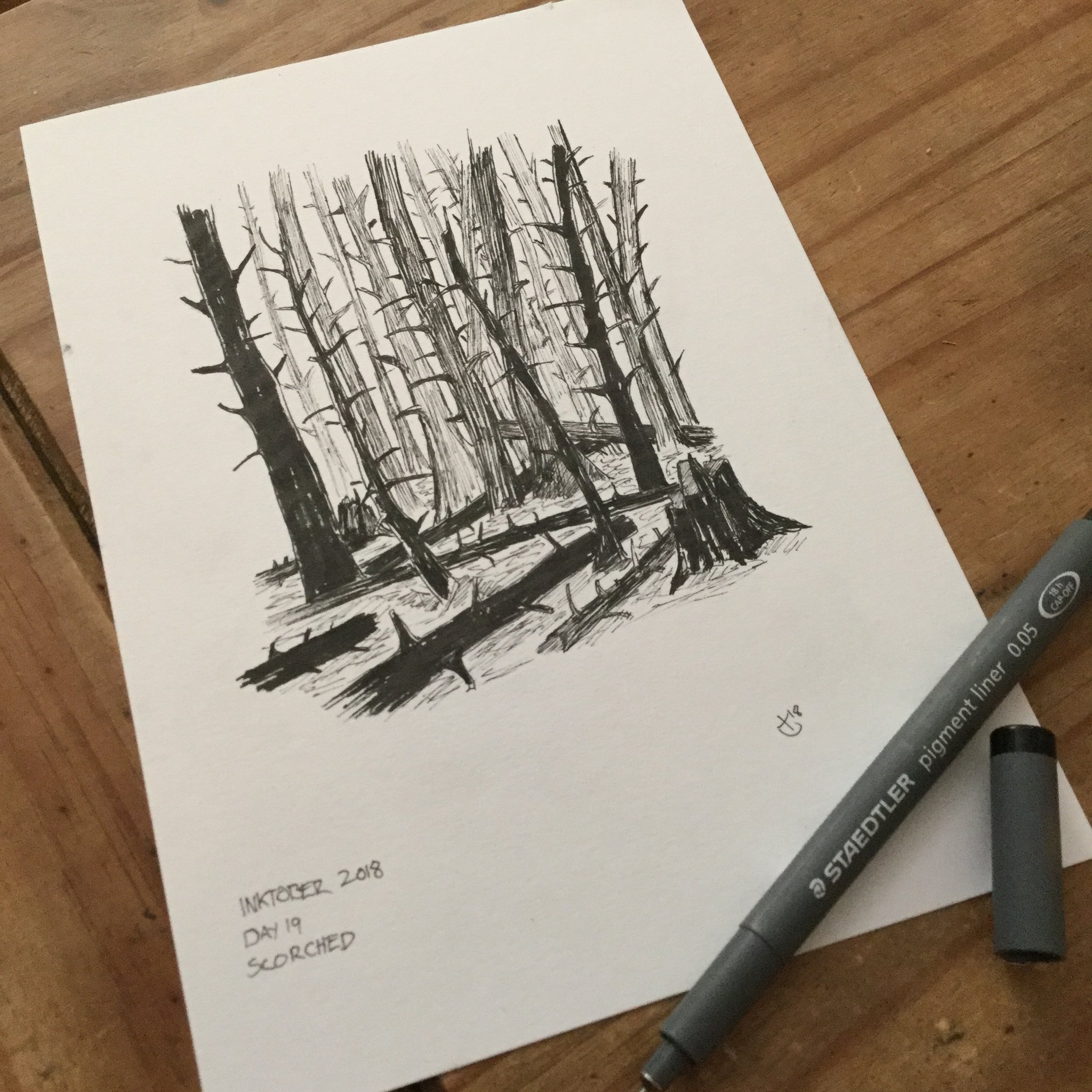 Burnt Forest Drawing