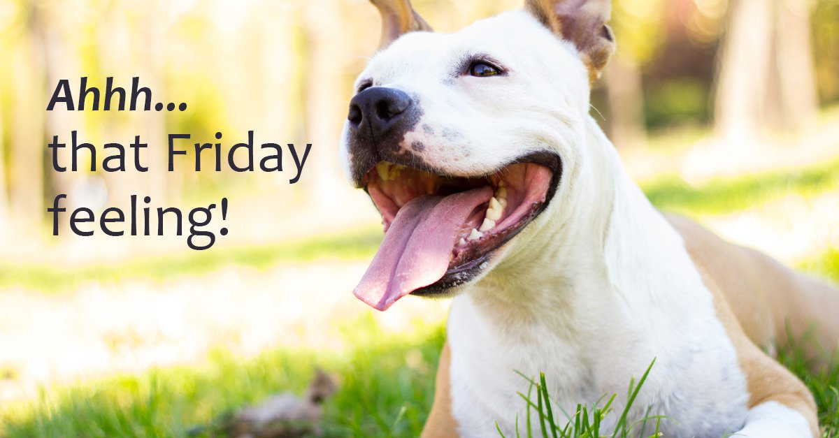 512 best Friday Feeling images on Pholder | Selfie, Sneakers and Superstonk