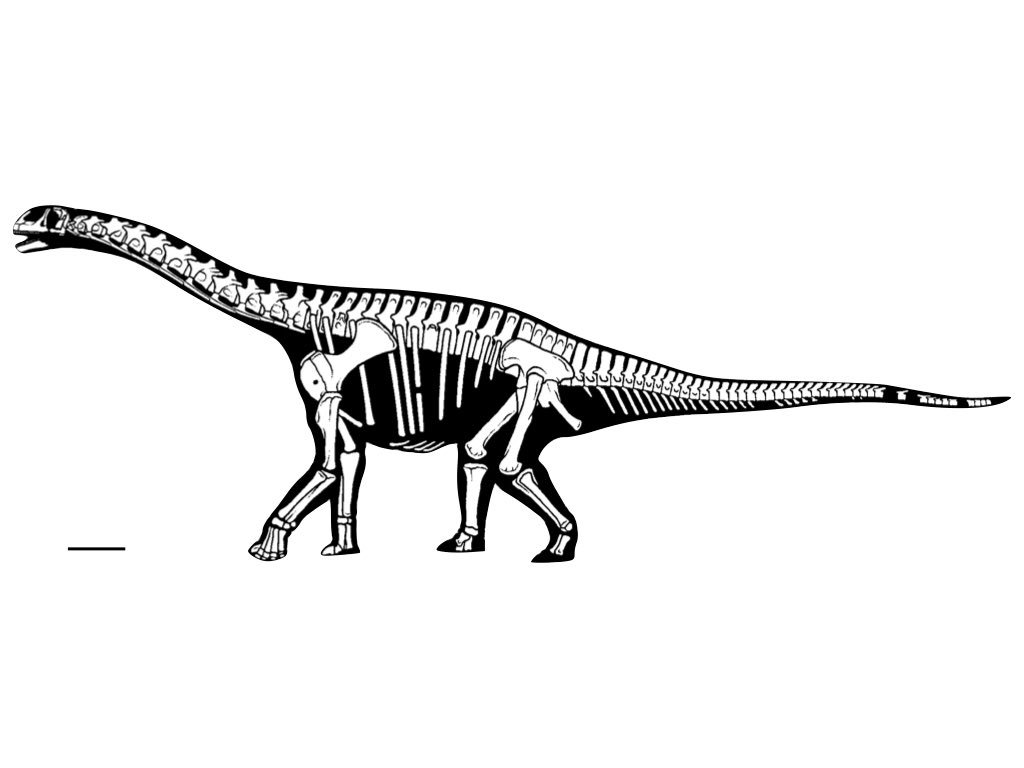 Kotasaurus