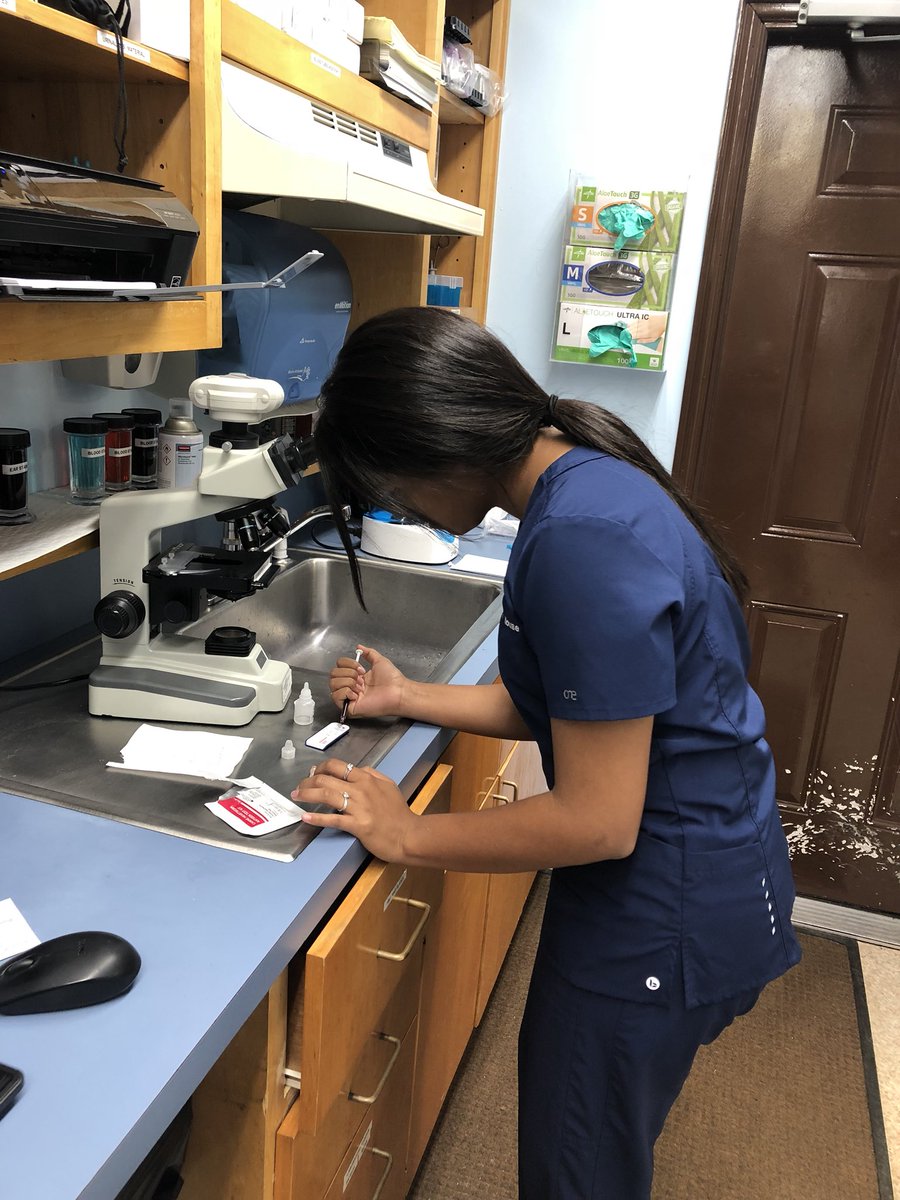 PIP-RISD (@PIP_RISD) | Twitter