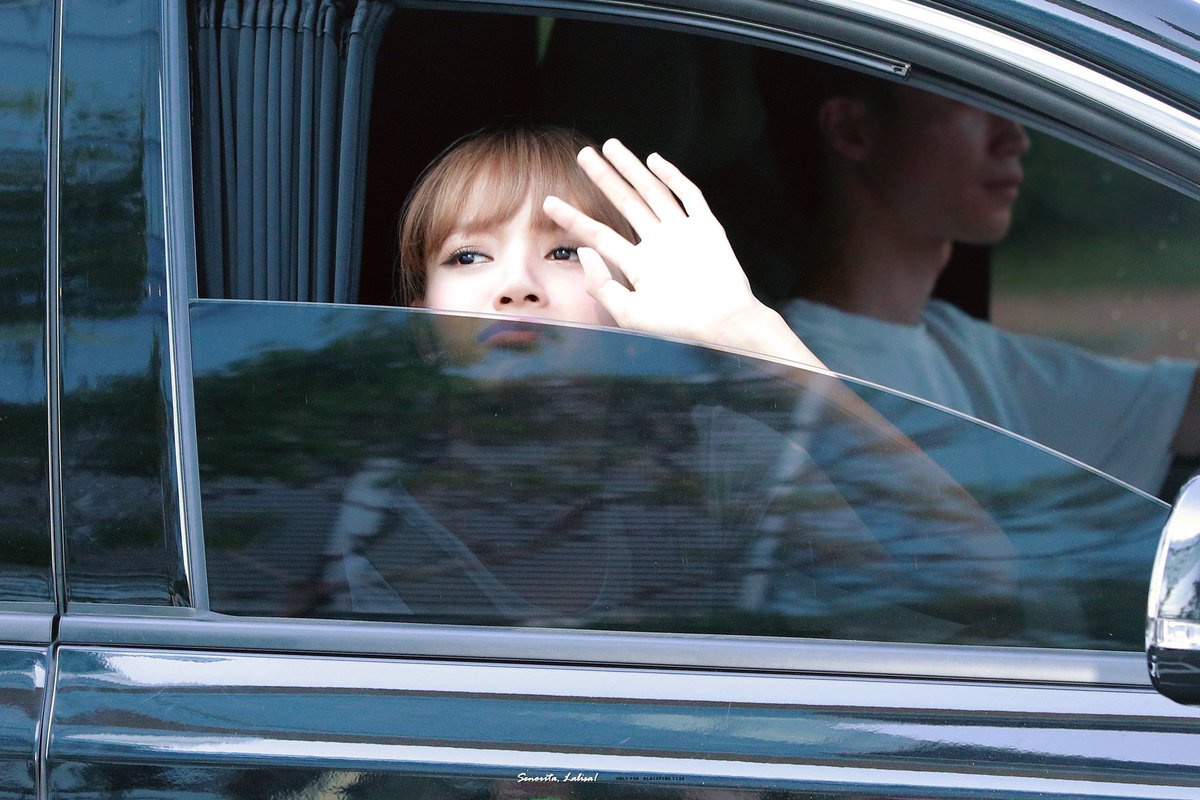 MonkeyBear. (@Rasikatritip) | Twitter