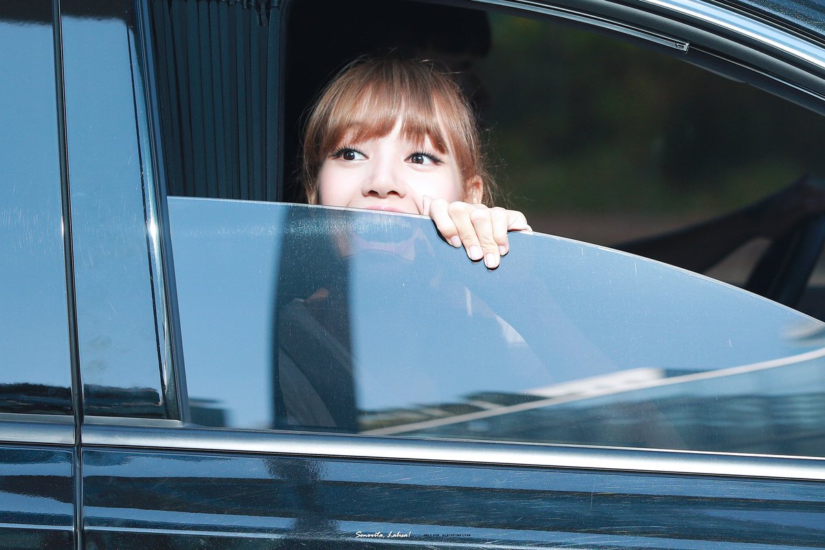 MonkeyBear. (@Rasikatritip) | Twitter