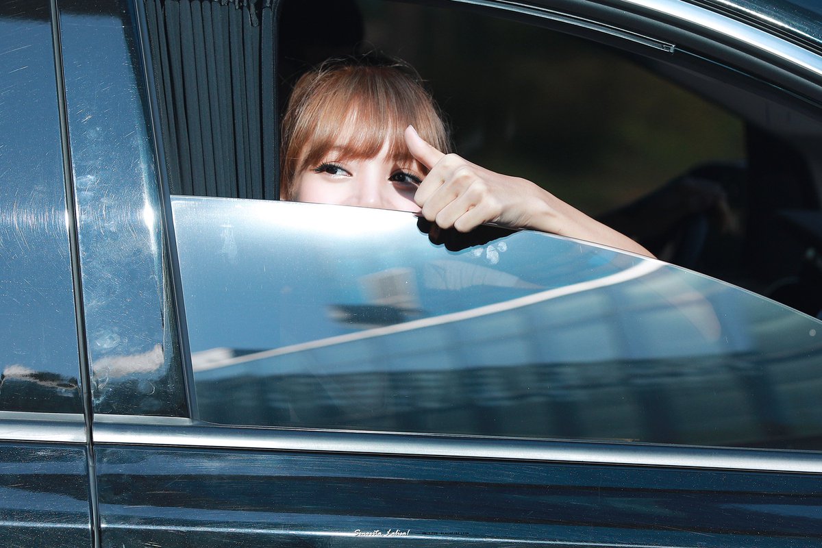 MonkeyBear. (@Rasikatritip) | Twitter