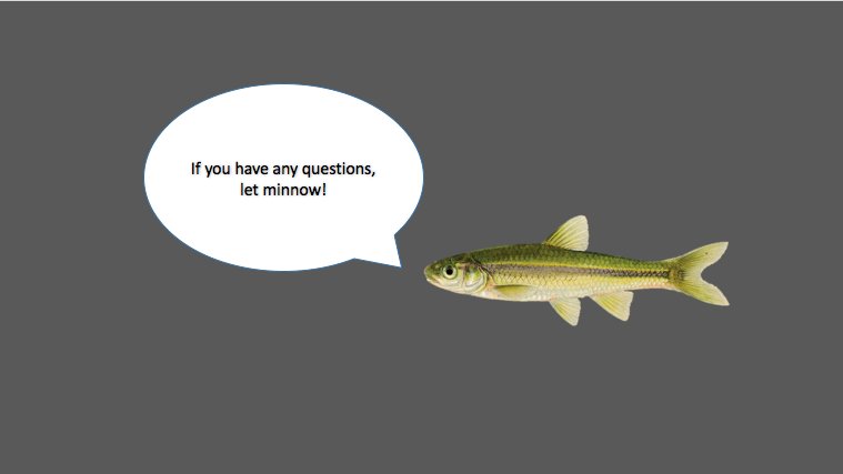 Any Questions Slide Funny