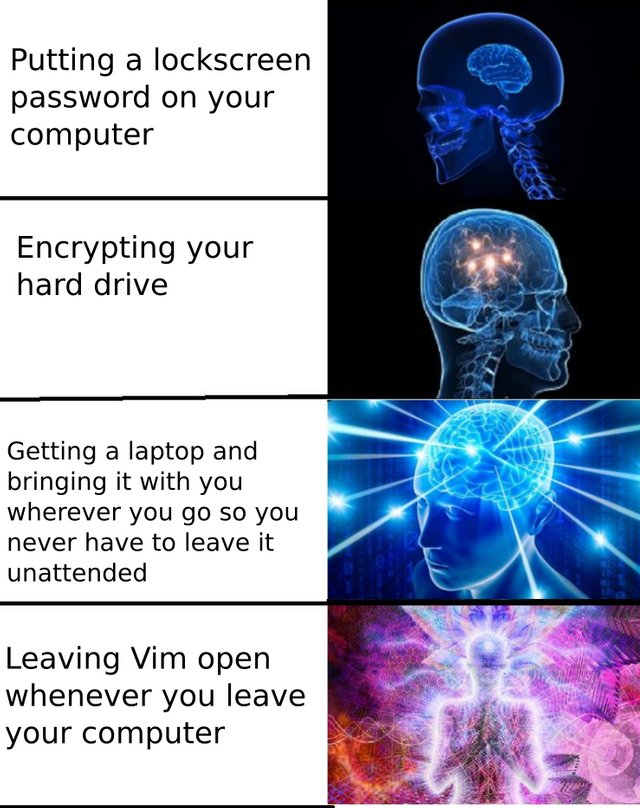 Vim Memes