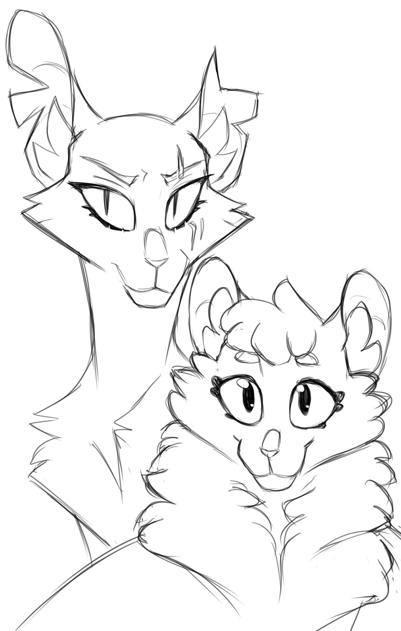 Warrior Cat Drawing Outline