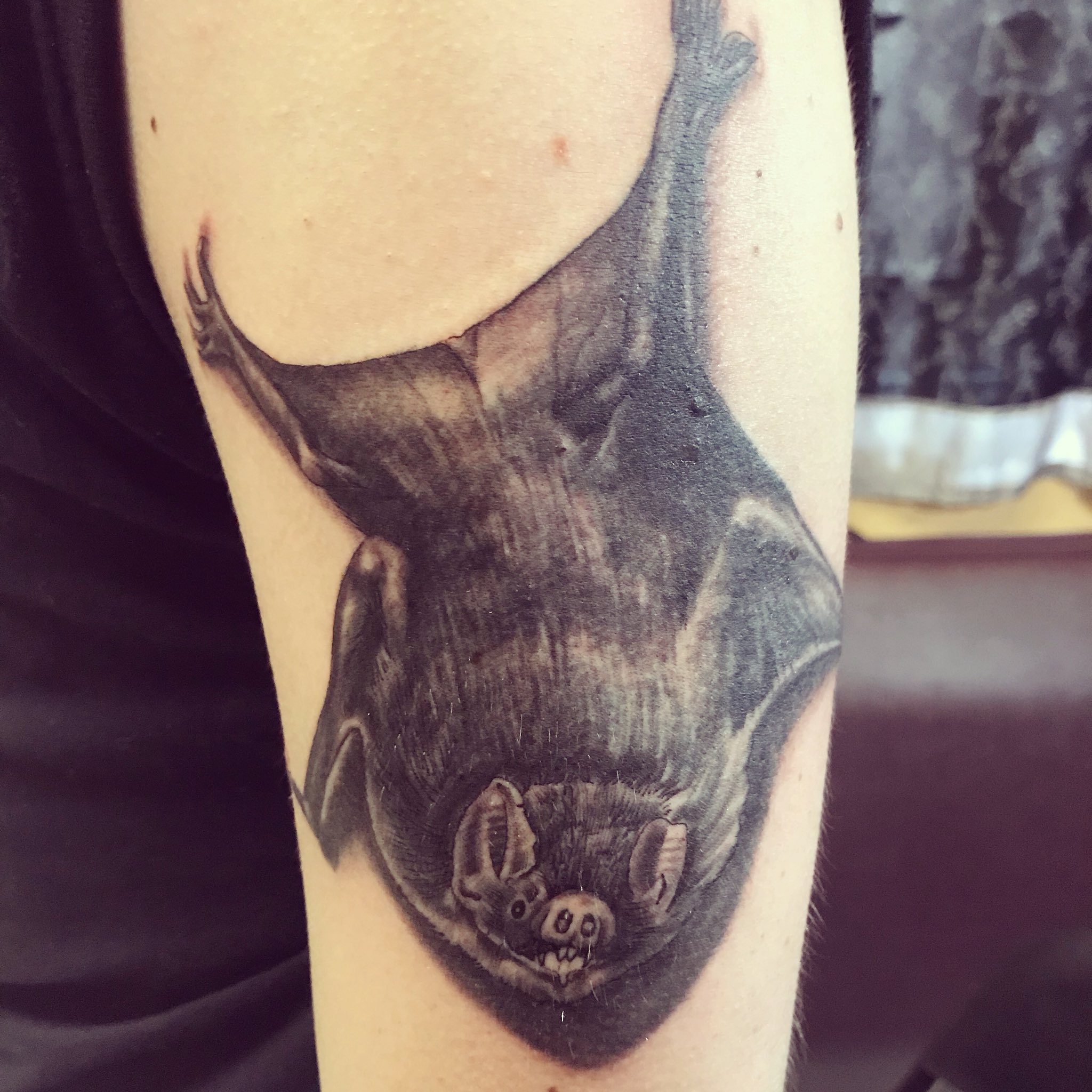 Vampire Bat Tattoo