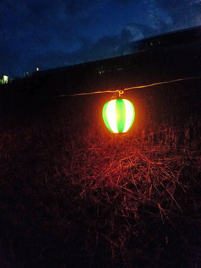 ねこみうどん。 (@Neko_udo) | Twitter