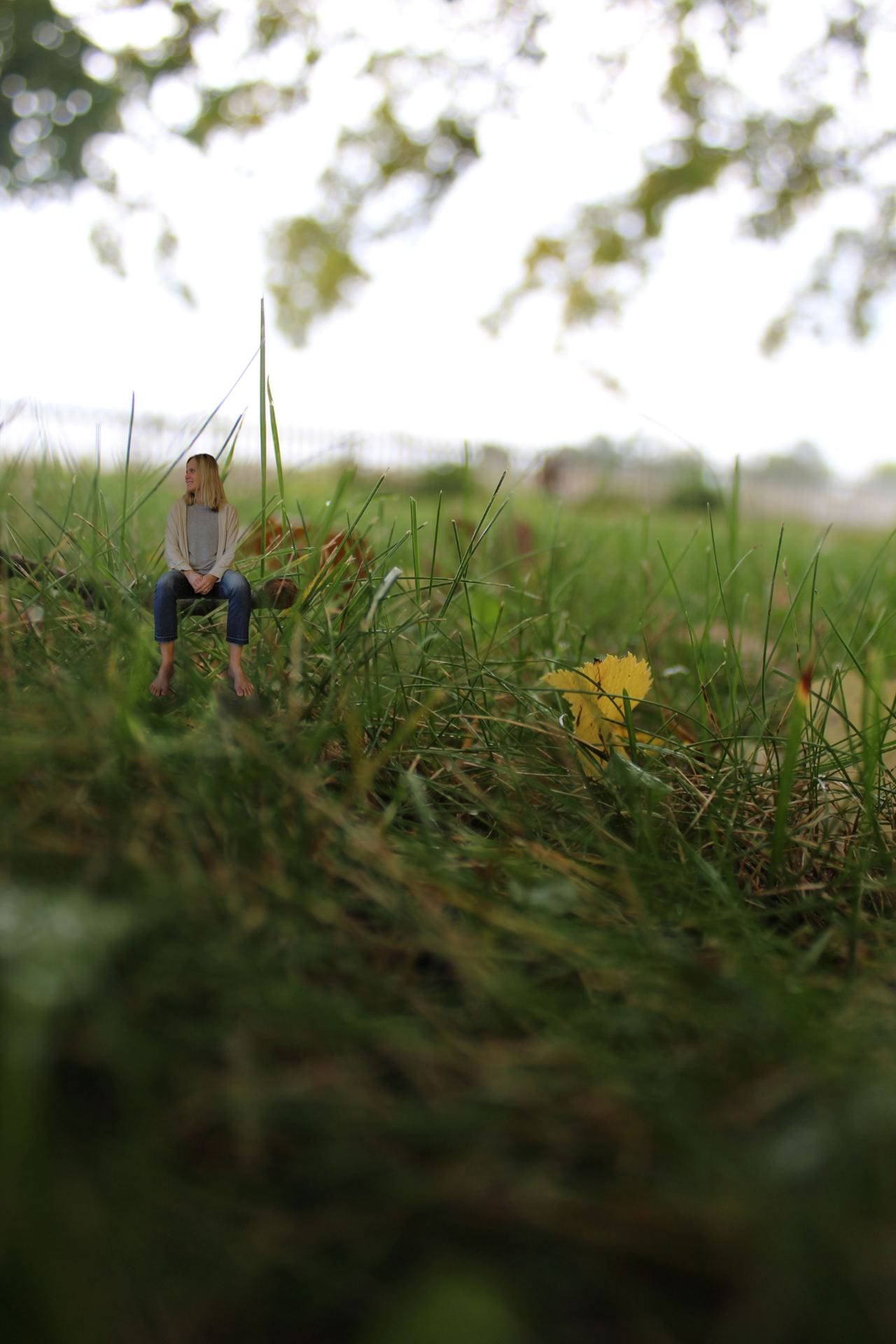 Proportion And Scale In Photography Scale, Proportion, And Quantity