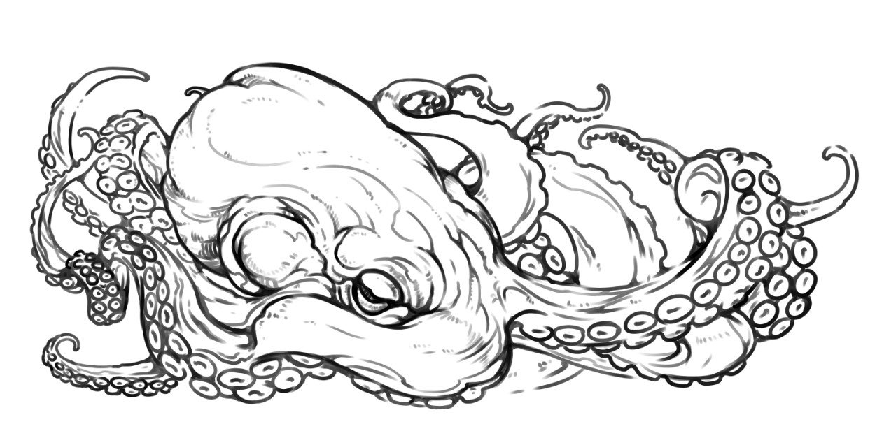Realistic Octopus Outline
