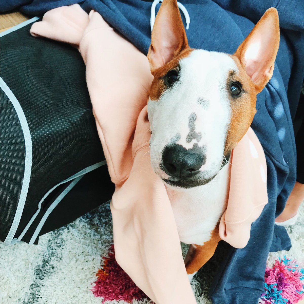 116 best Twitter u/laurdiy images on Pholder | cue seasonal allergies lol