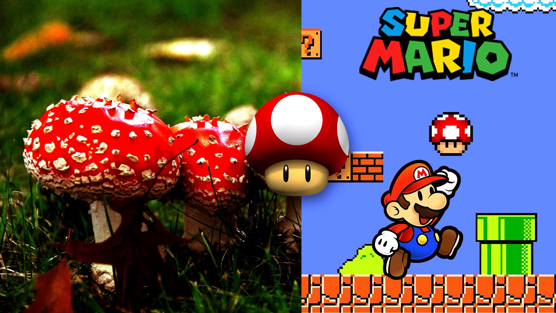 Amanita Muscaria Mario