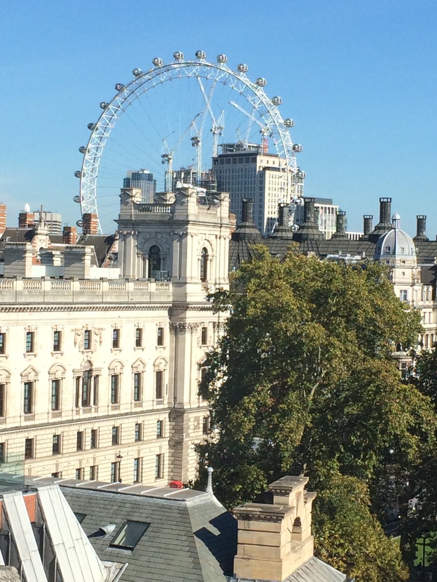 Jasmina N Jovanovic (@DrJJovanovicUCL) | Twitter