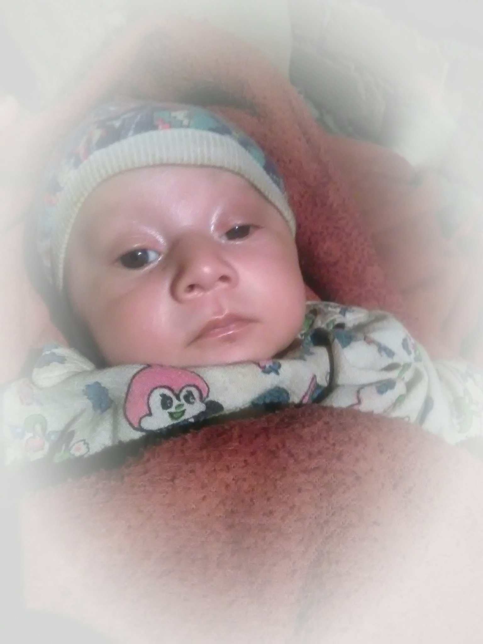 Kamal Olee on Twitter: