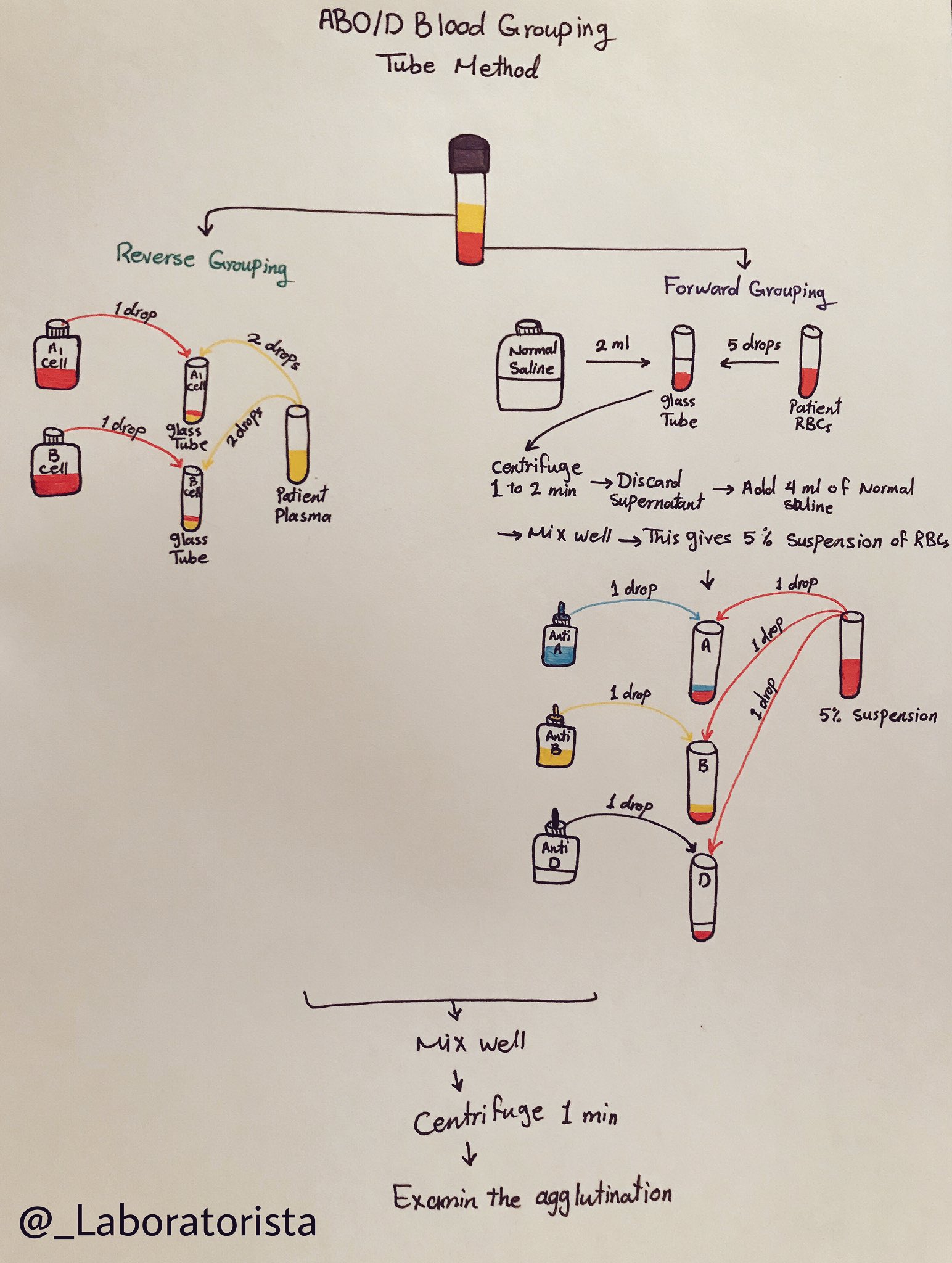 Blood Grouping Procedure