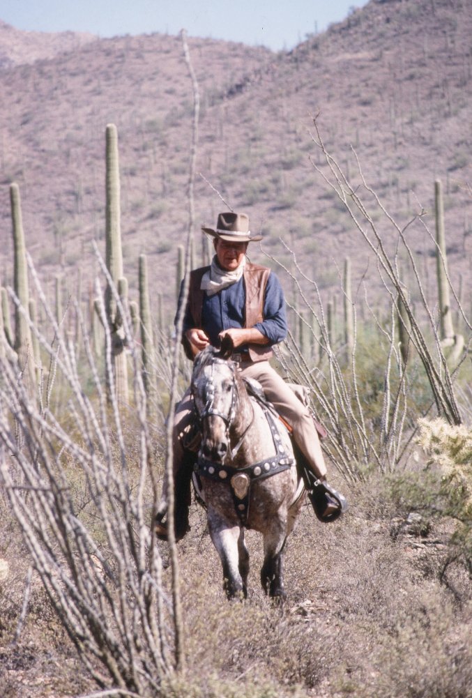 John Wayne Horse Dollar