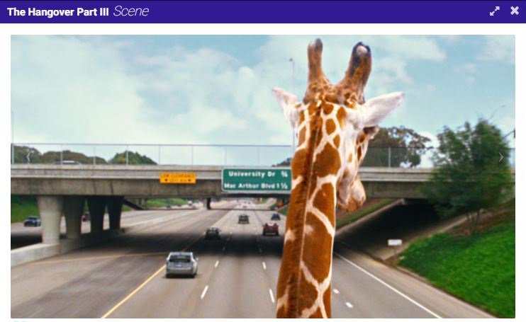 Hangover 3 Giraffe Bridge