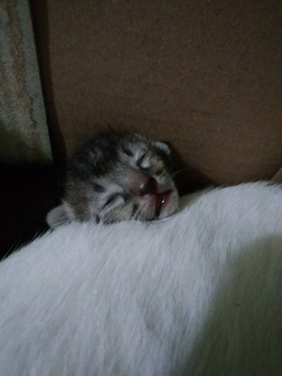 febriani (@febie_lehat) | Twitter