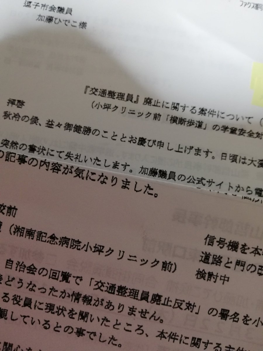 加藤ひでこ(逗子市議会議員) (@Kato_Hideko) | Twitter