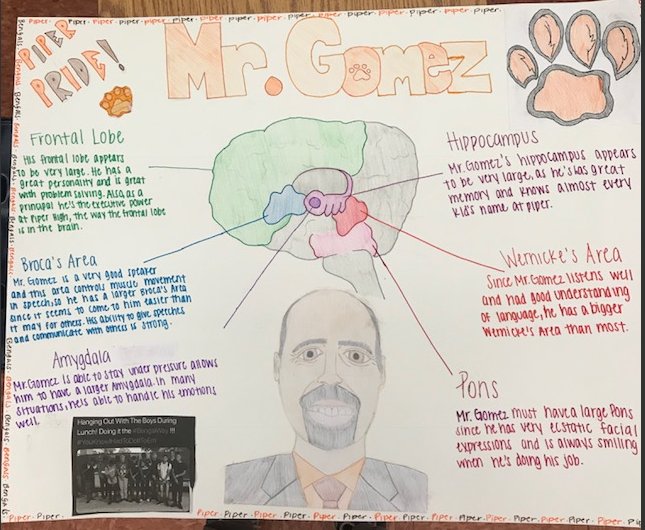Ap Psychology Celebrity Brain Project 60 Photos - Moonagedaydream.film