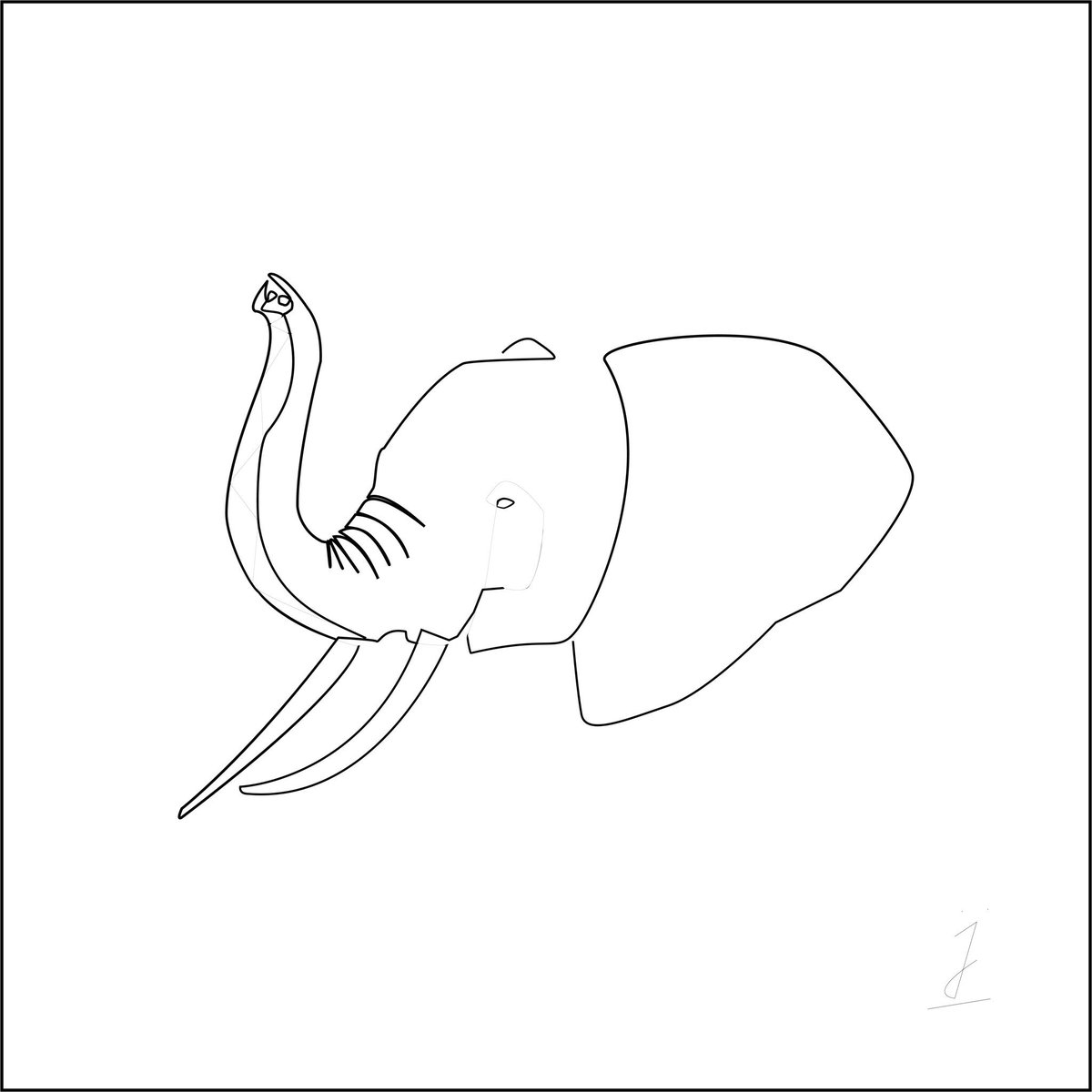 Elephant Profile Drawing