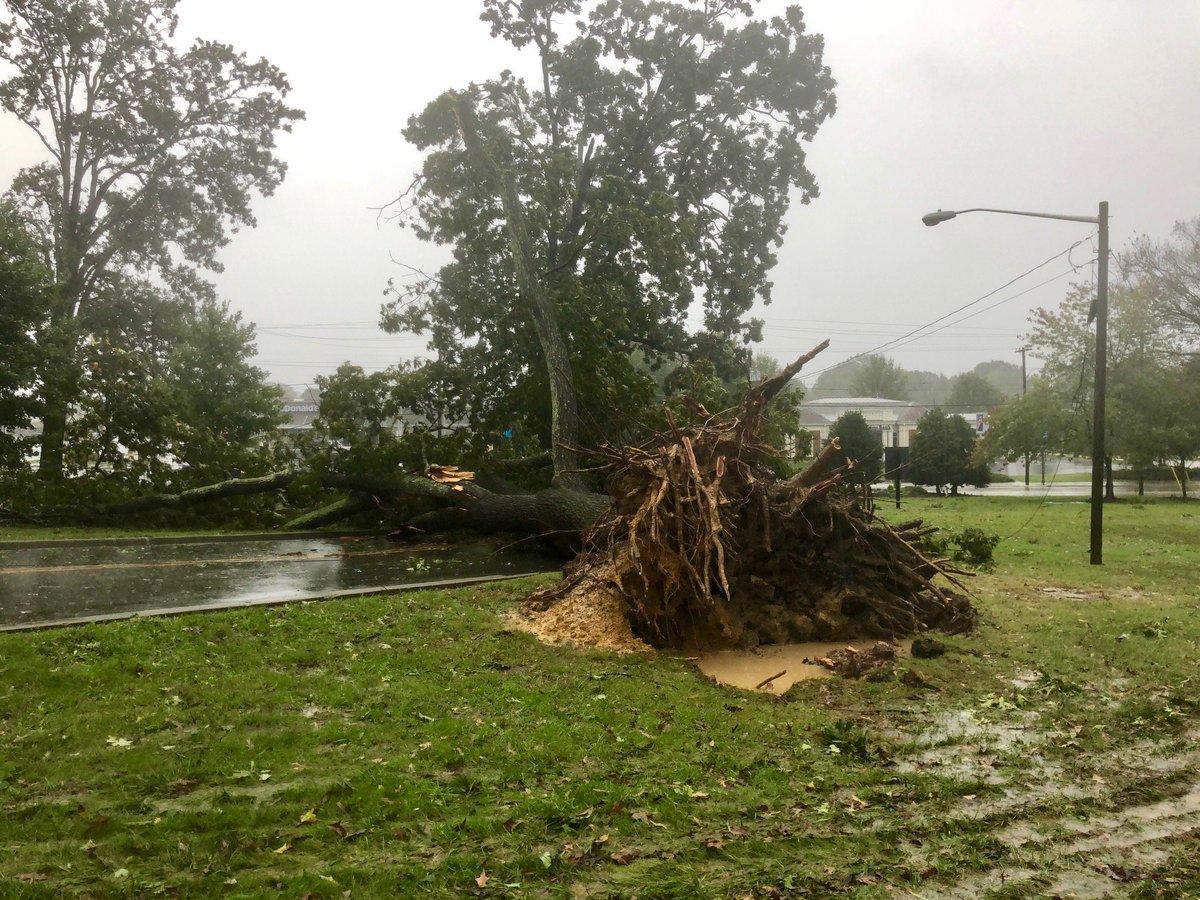 WDBJ7's Joe Dashiell captured this photo of a downed tree blocking the ...