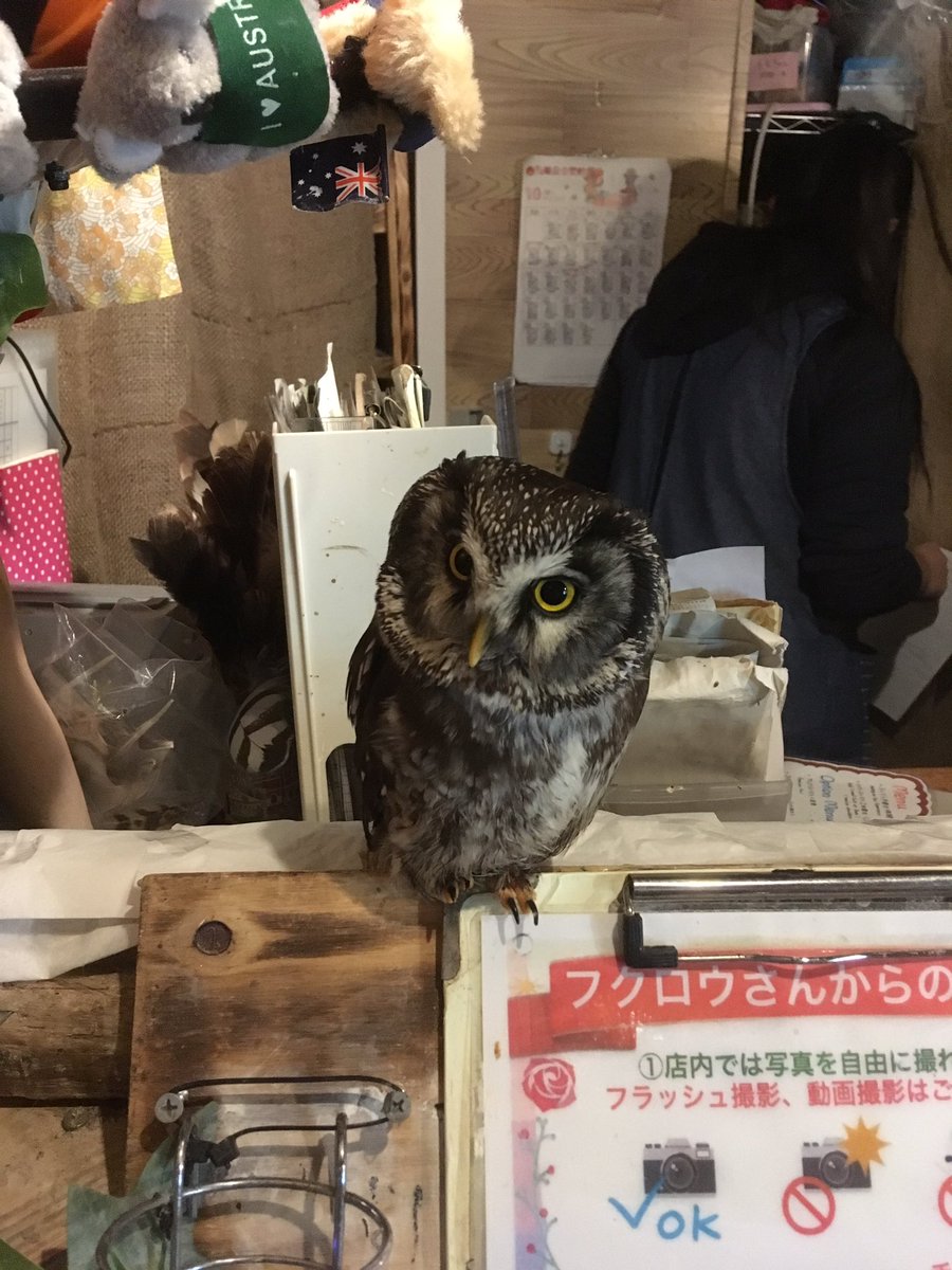 ããã风ð¯ðµ Plzkepslim Twitter